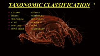 the superorder Acariformes presentation.pptx