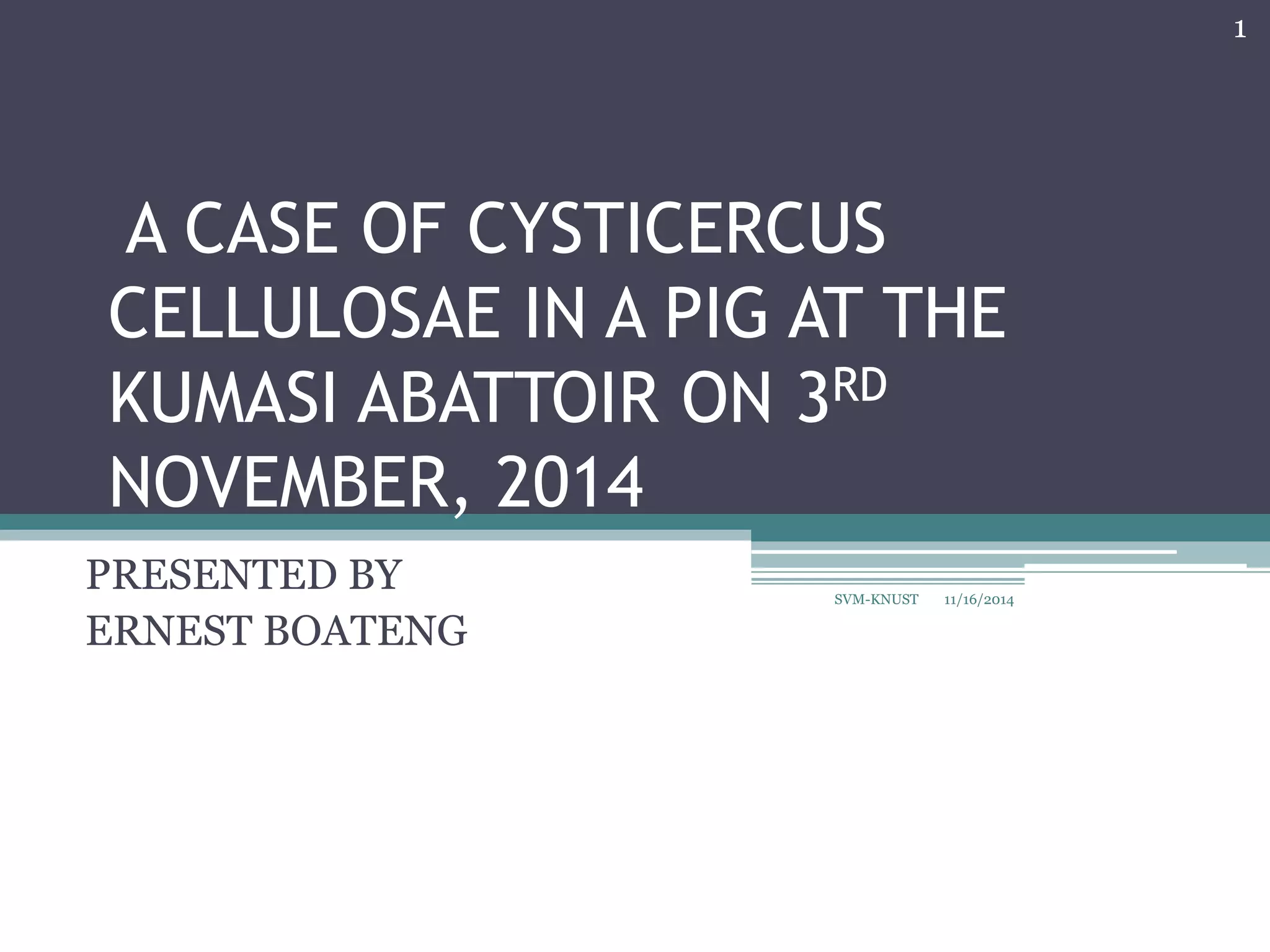 A case of cysticercus cellulosae in a pig | PPTX