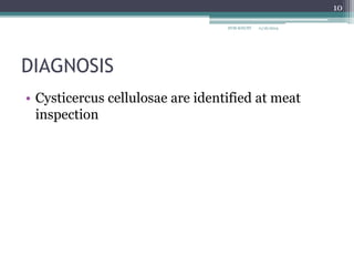 A case of cysticercus cellulosae in a pig | PPTX