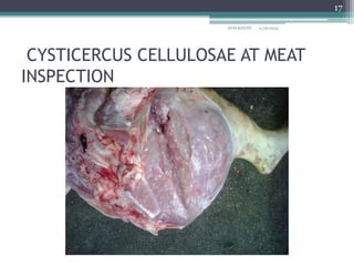 A case of cysticercus cellulosae in a pig | PPTX