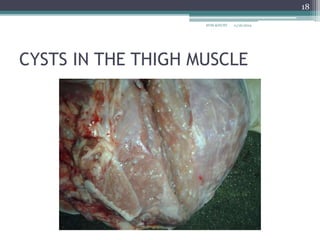 A case of cysticercus cellulosae in a pig | PPTX