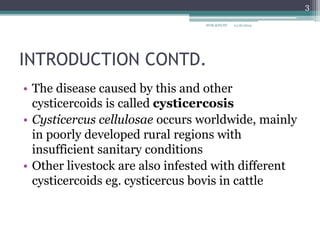 A case of cysticercus cellulosae in a pig | PPTX