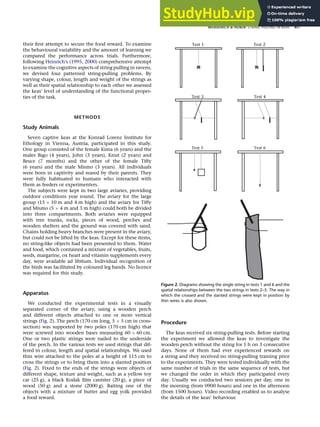 A case of quick problem solving in birds string pulling in keas, Nestor notabilis.pdf