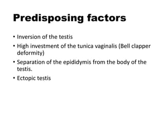 A case on testicular torsion | PPTX