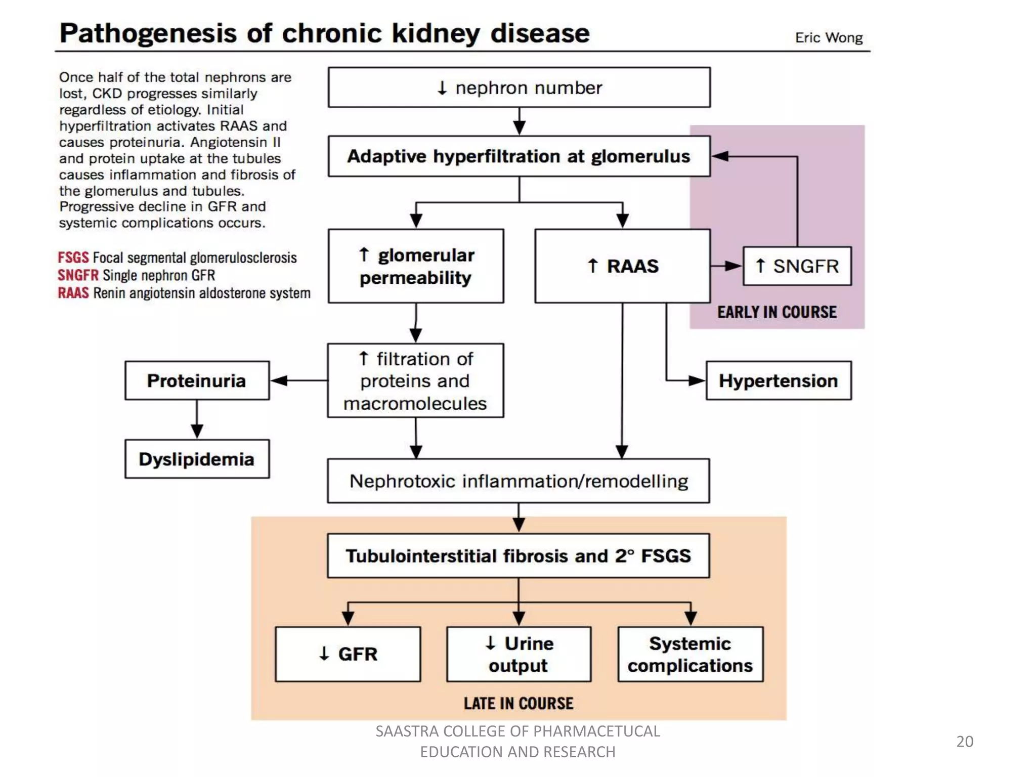 A CASE PRESENTATION ON CHRONIC KIDNEY DISEASE(CKD)- (1).pptx