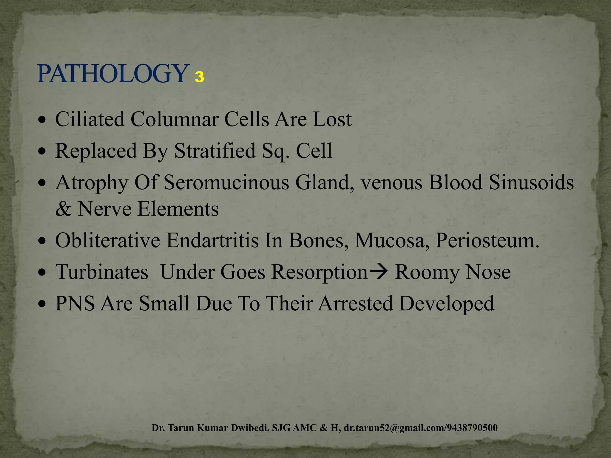 A case report -- Apeenasa/ Atrophic rhinitis-Shdabindu Taila Nasya ...