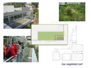 A Case Study The Sustainable Urban Science Center At Gfs | PDF