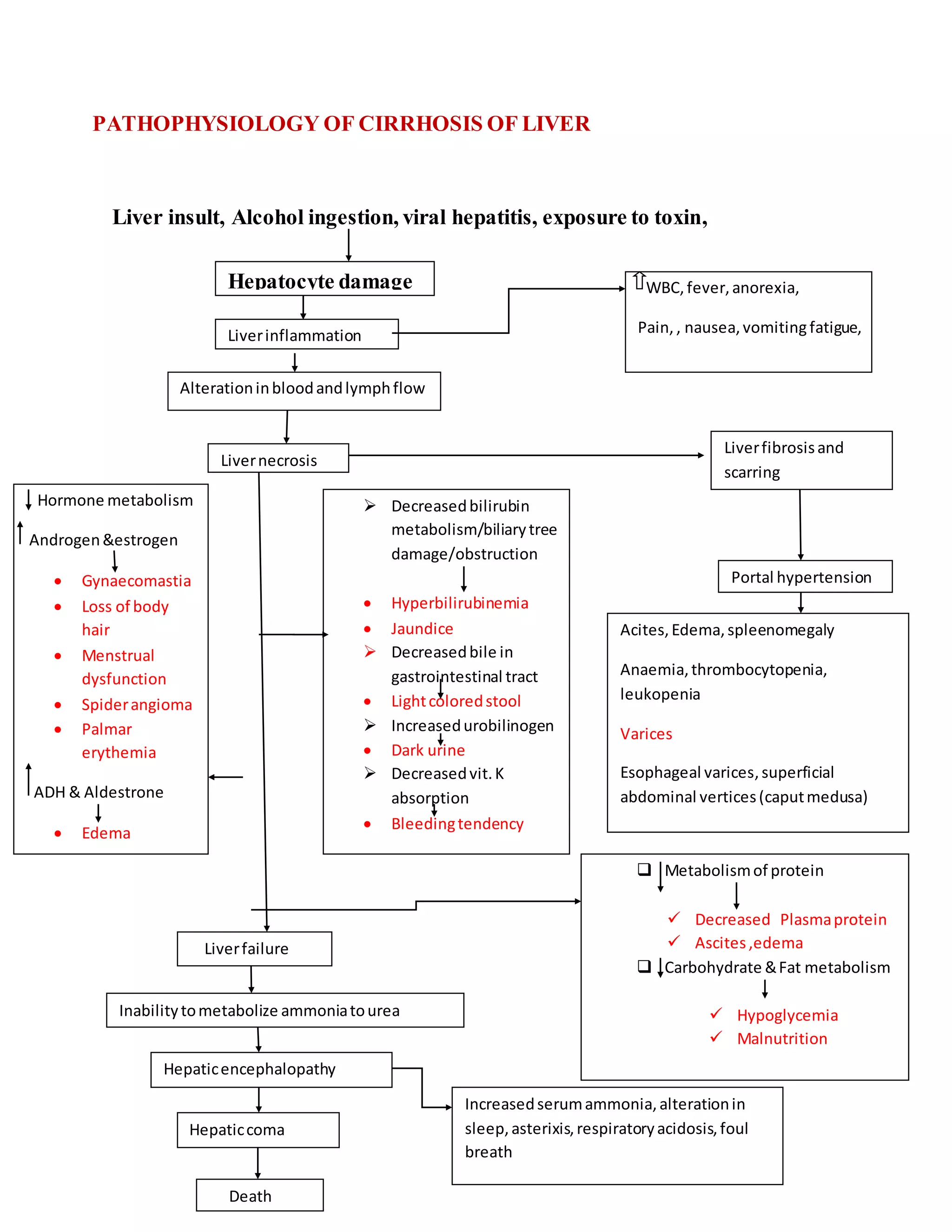 A case study on cirrhosis of liver | DOCX