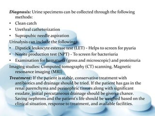 A case study on emphysematous pyelonephritis | PPT