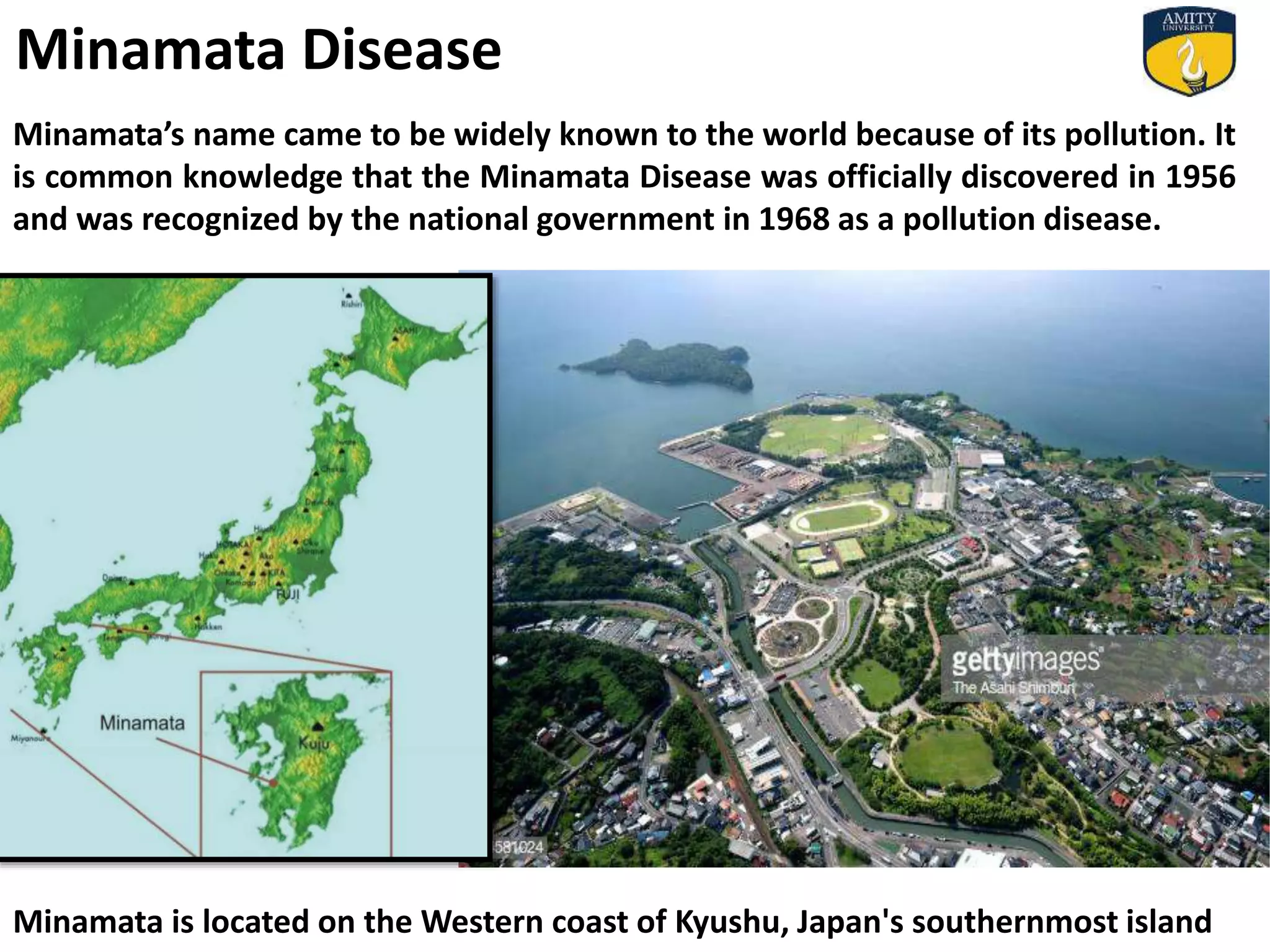 A case study on minamata disease-By Ritu Chauhan | PPTX