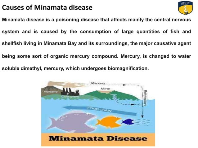 A case study on minamata disease-By Ritu Chauhan | PPTX | Diseases and ...
