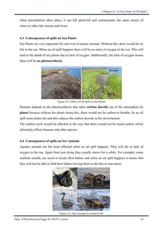 A Case Study on Oil Spills | PDF