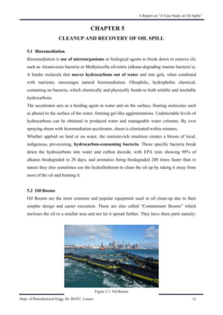 A Case Study on Oil Spills | PDF