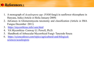 Acaulospora: Classification & Characteristic | PPTX