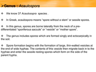 Acaulospora: Classification & Characteristic | PPTX