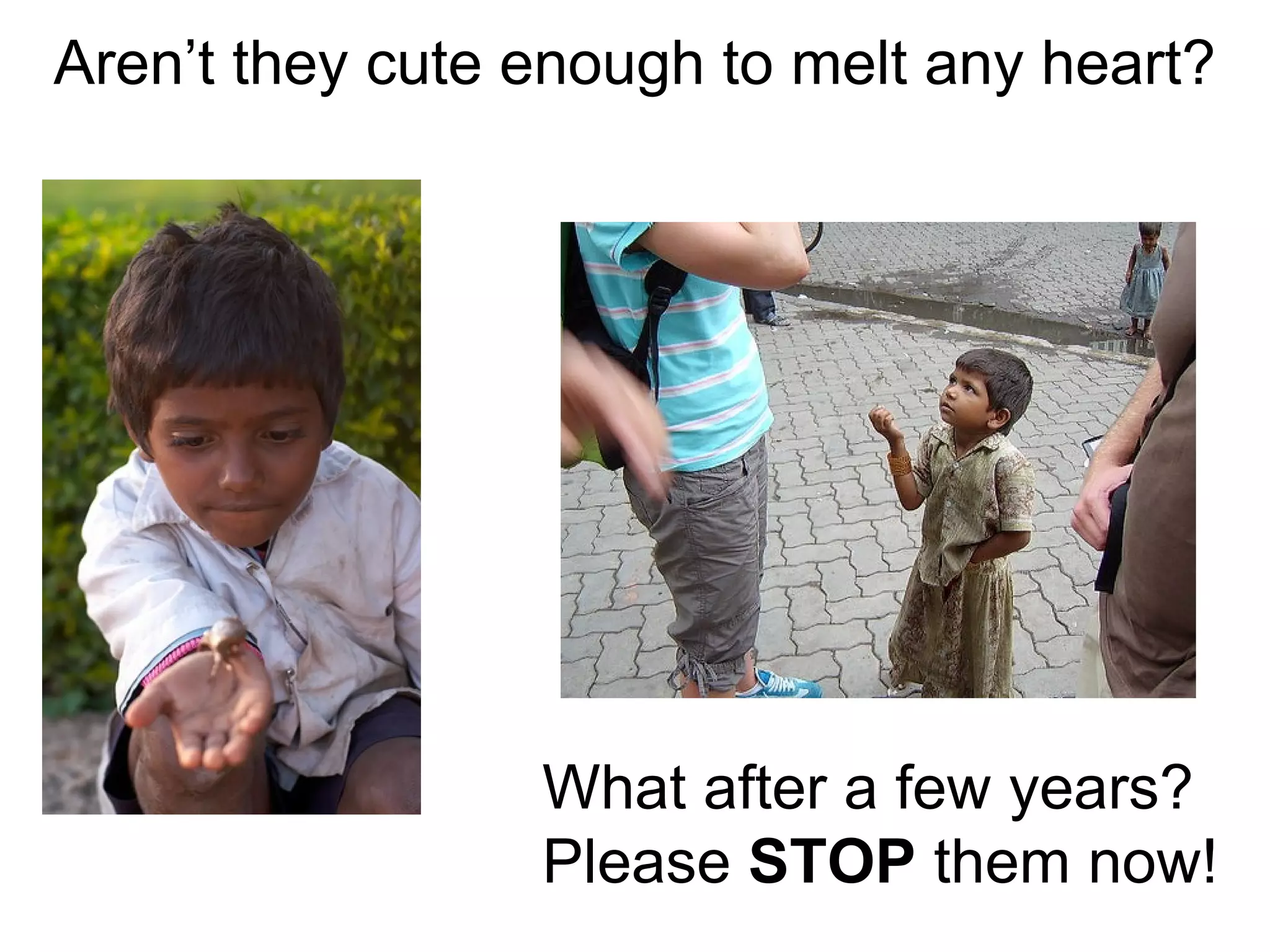 Anti Child Begging Campaign | PPS