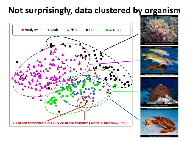 Tomlinson et al (2016) - sediment & biota | PPT