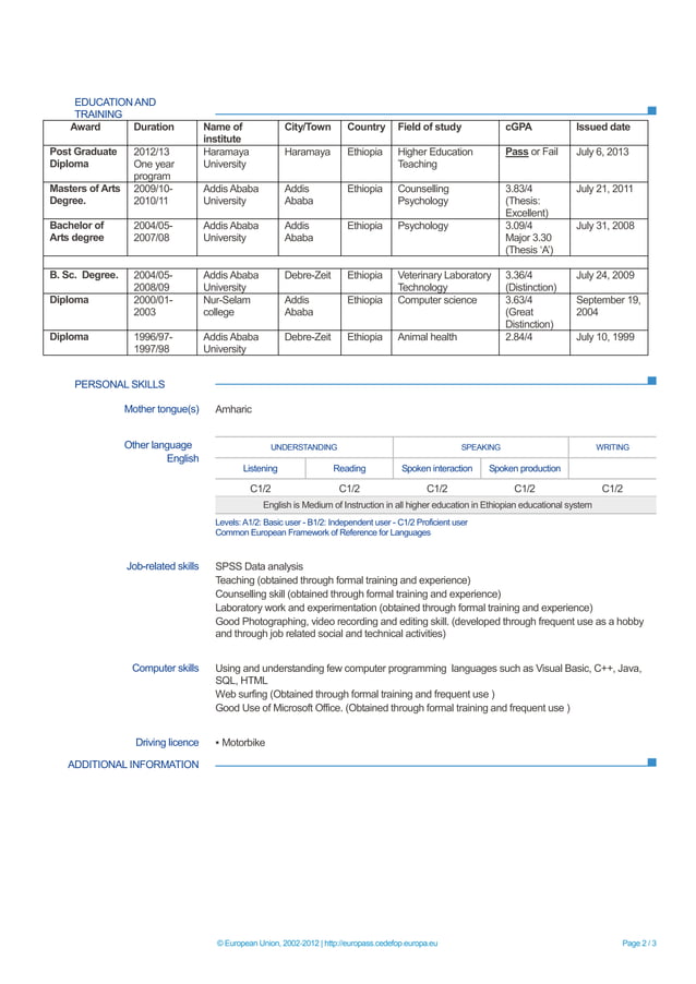 CV Henok legess | PDF