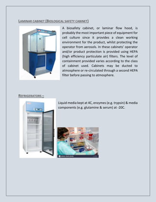 Animal cell culture | PDF