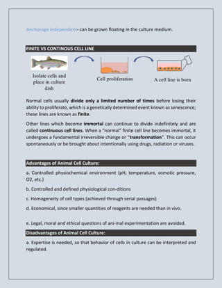 Animal cell culture | PDF