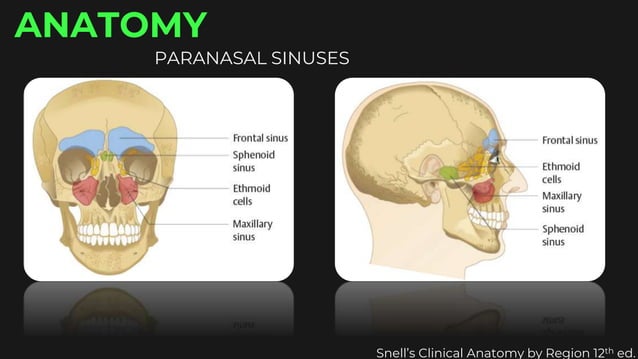 Adenoid Cystic Carcinoma of the Ethmoid Sinus | PPTX | Ear, Nose and ...