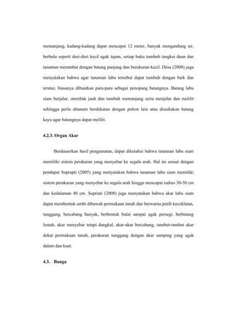 Acc labu siam, pepaya, mawar | DOCX