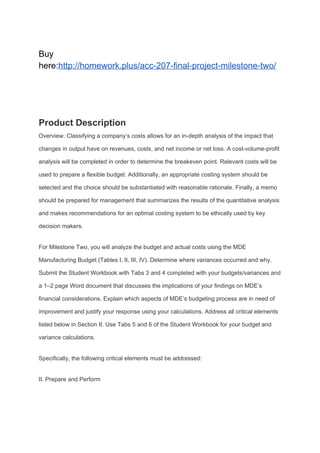 ACC 207 Final Project Milestone Two | PDF