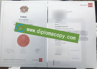 ACCA certificate fake certificate | PPT