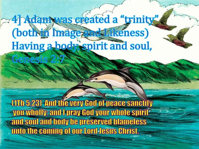 SERMON SERIES CHARACTERS OF THE BIBLE LESSON 1 ADAM | PPT