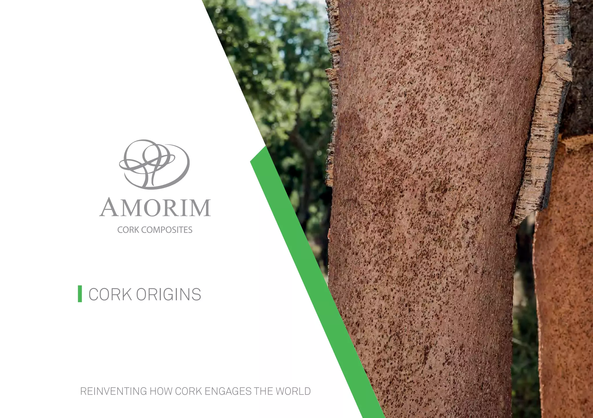 Cork Solutions and Processes | PDF
