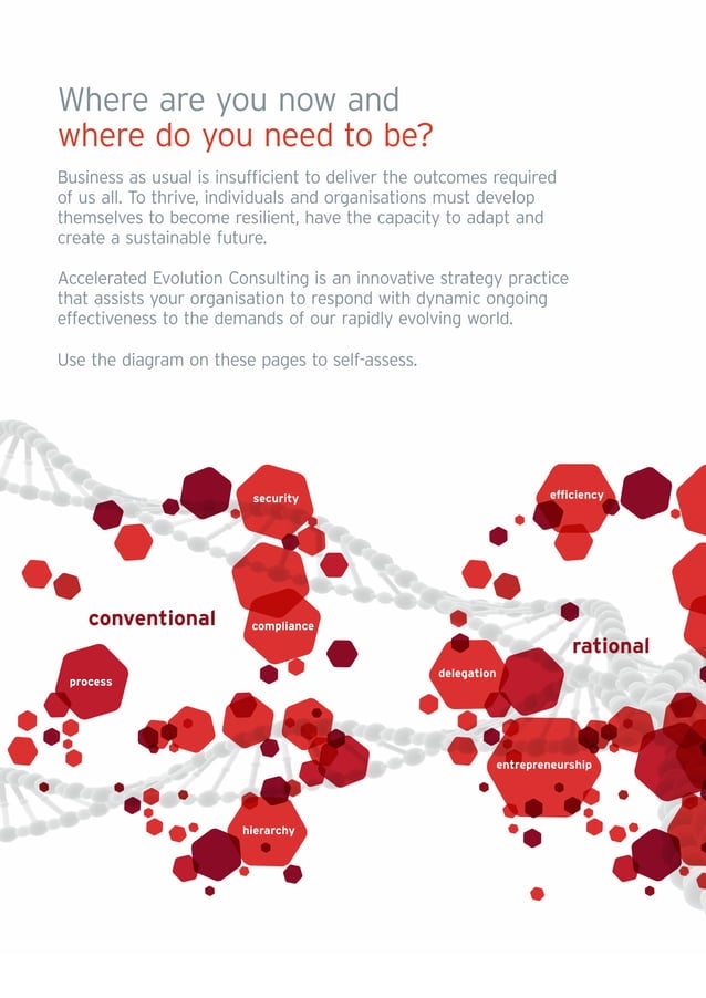 Accelerated Evolution Brochure 091214 | PDF | Business | Business and ...