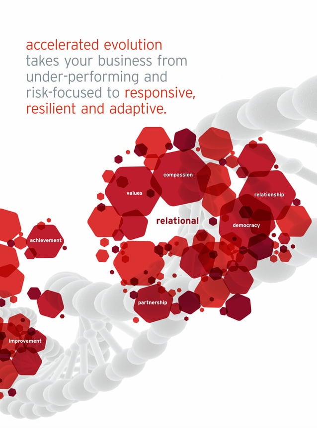 Accelerated Evolution Brochure 091214 | PDF | Business | Business and ...