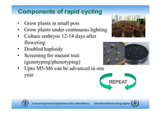 Accelerated mutant breeding practicle issues | PPT