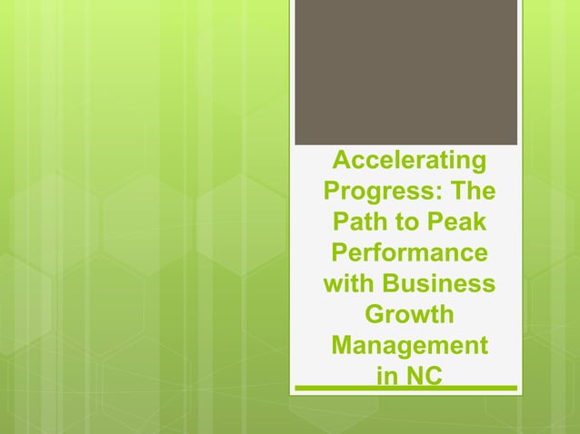 Accelerating Progress: The Path to Peak Performance with Business ...