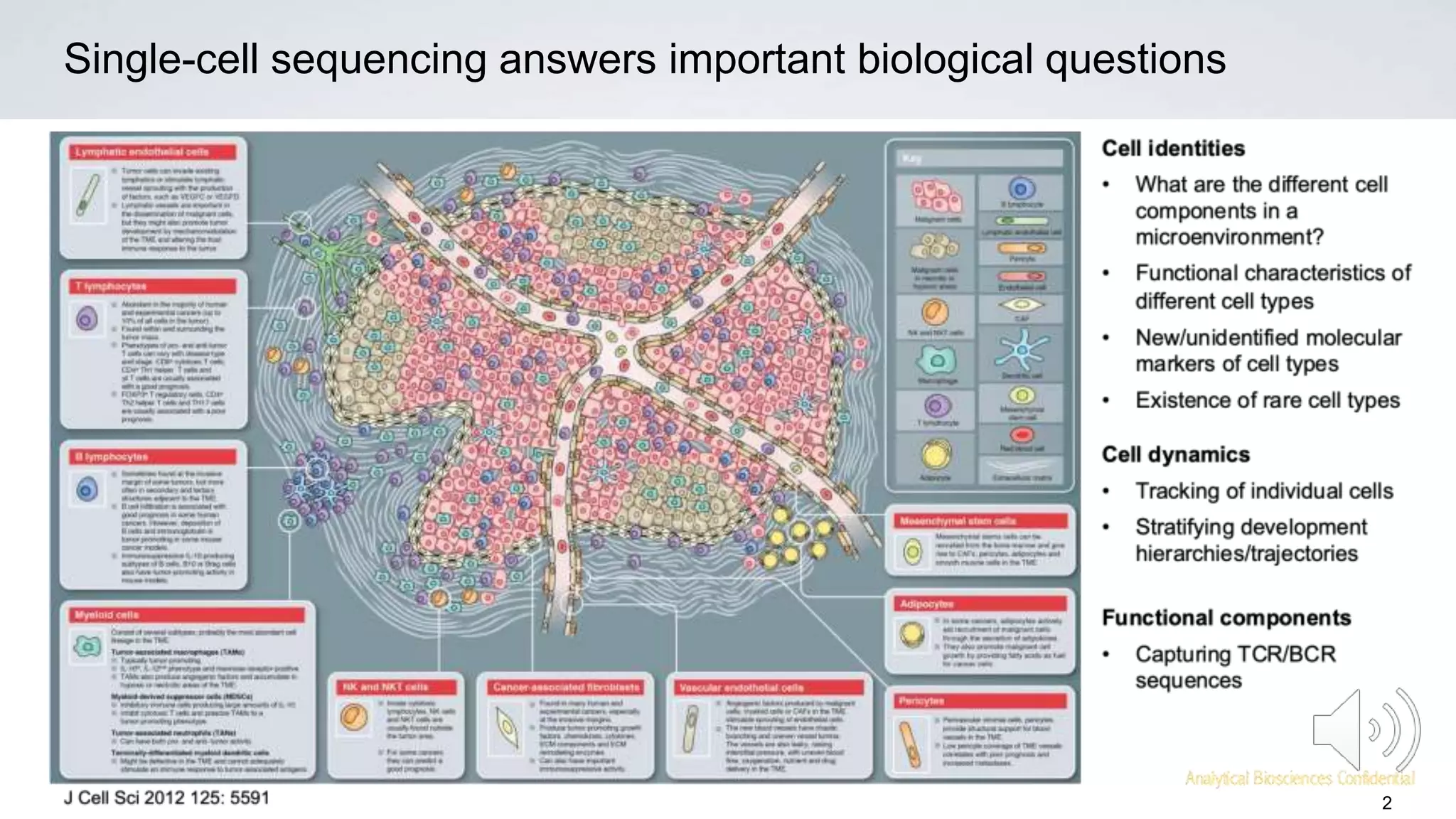 Analytical Biosciences Accelerates Single Cell Sequencing With Big