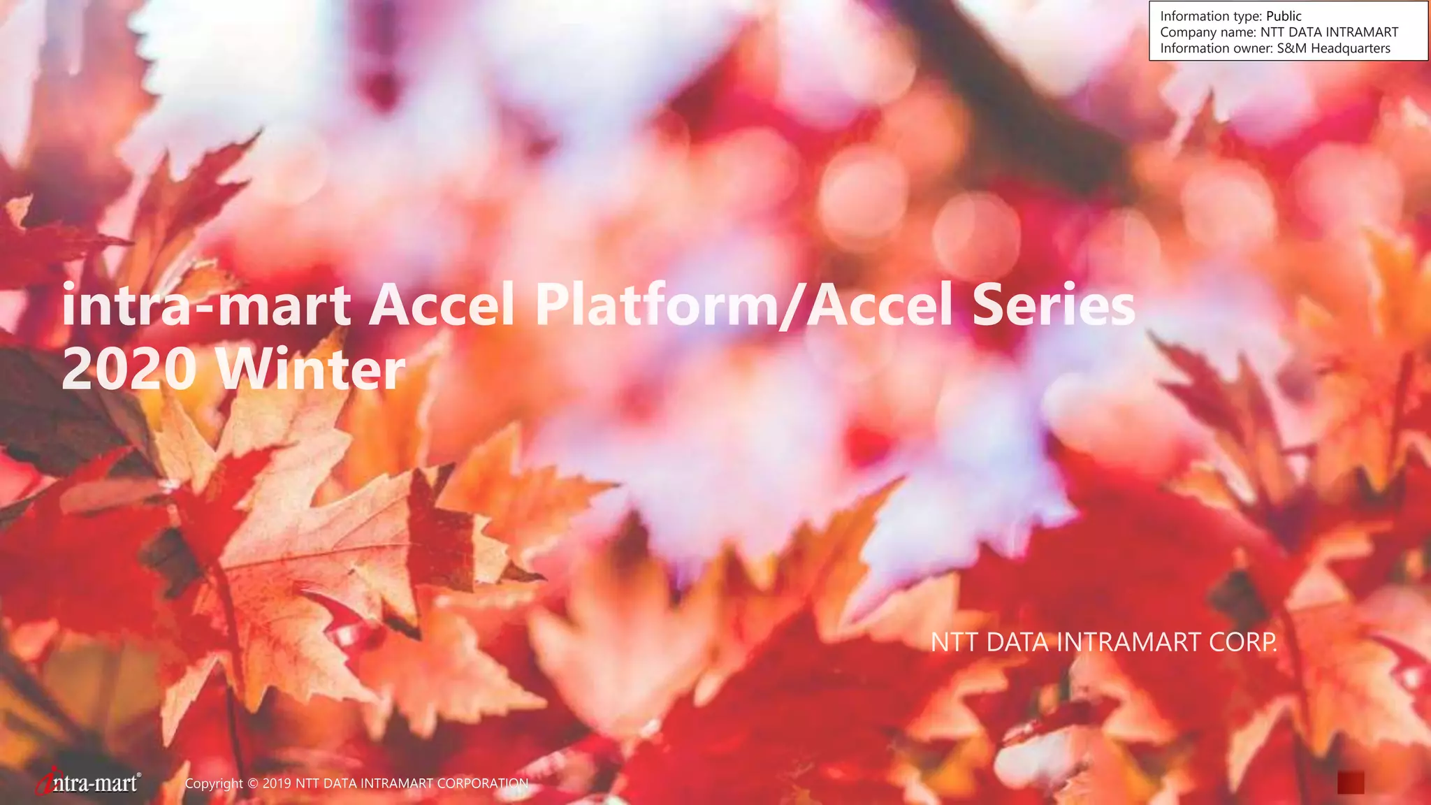 Accel series 2020_winter-en | PPT