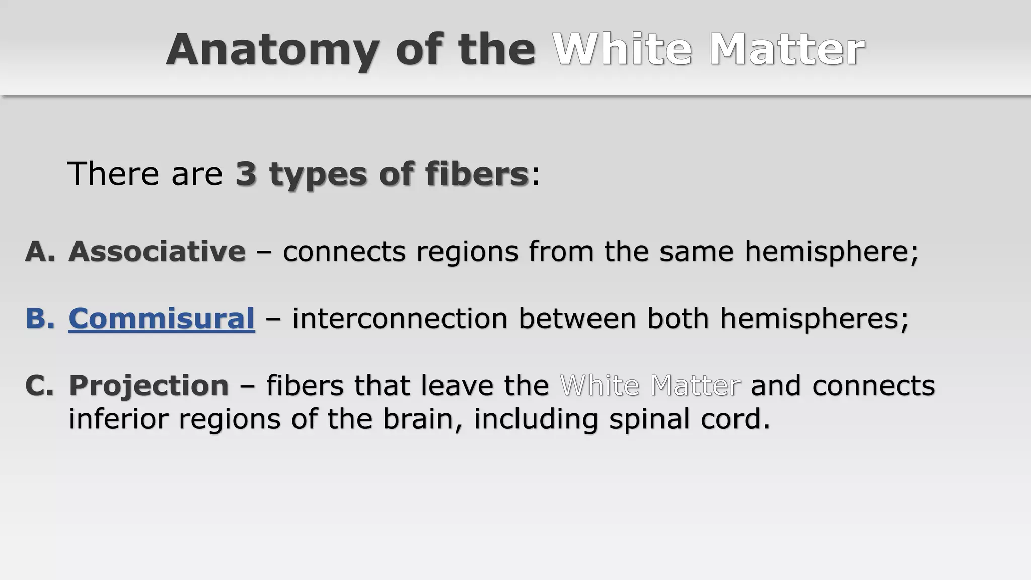 Agenesis of the Corpus Callosum | PDF