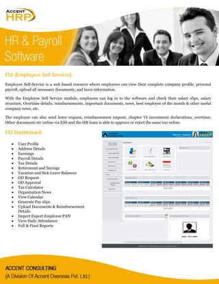 Accent consulting brochure | PDF