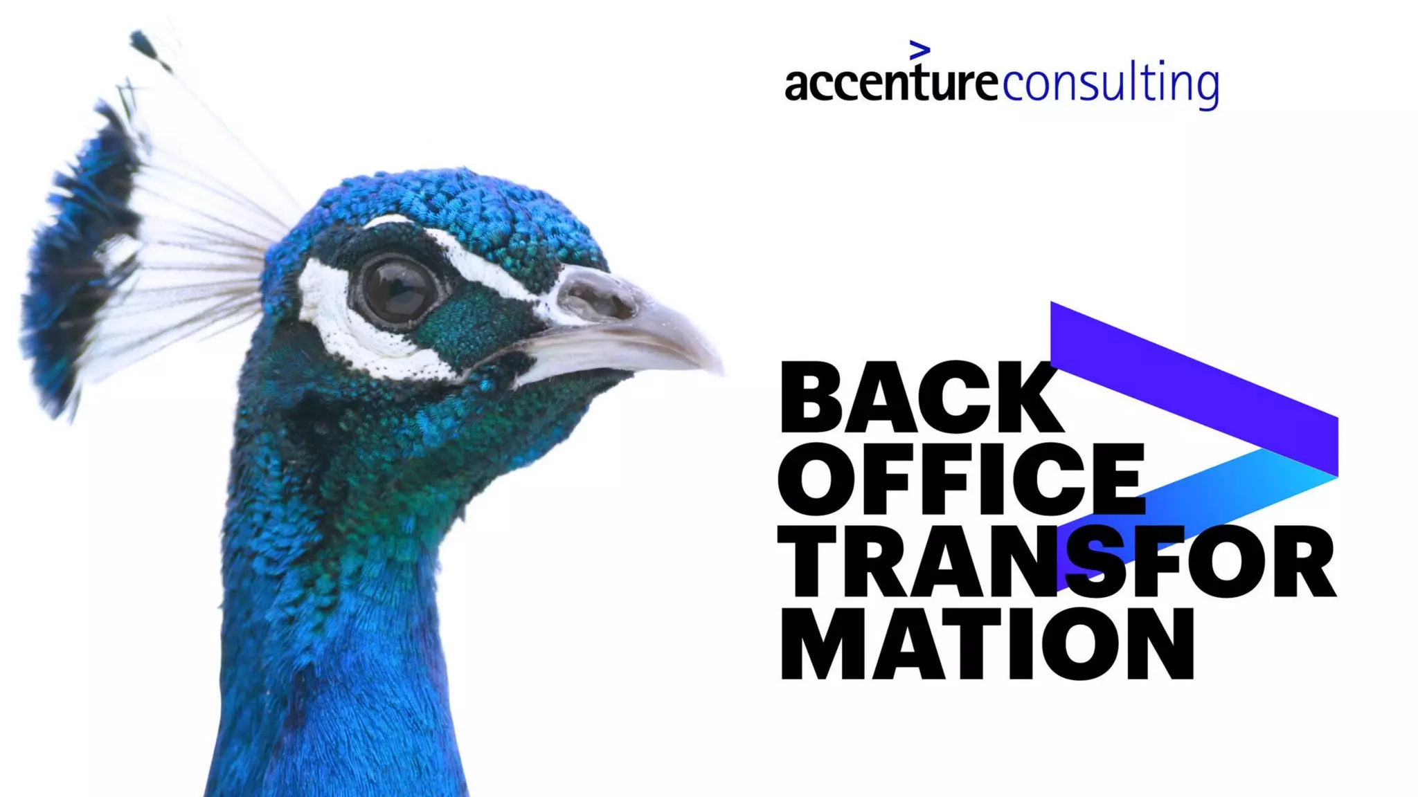 Accenture-Back-Office-Transformation.pdf