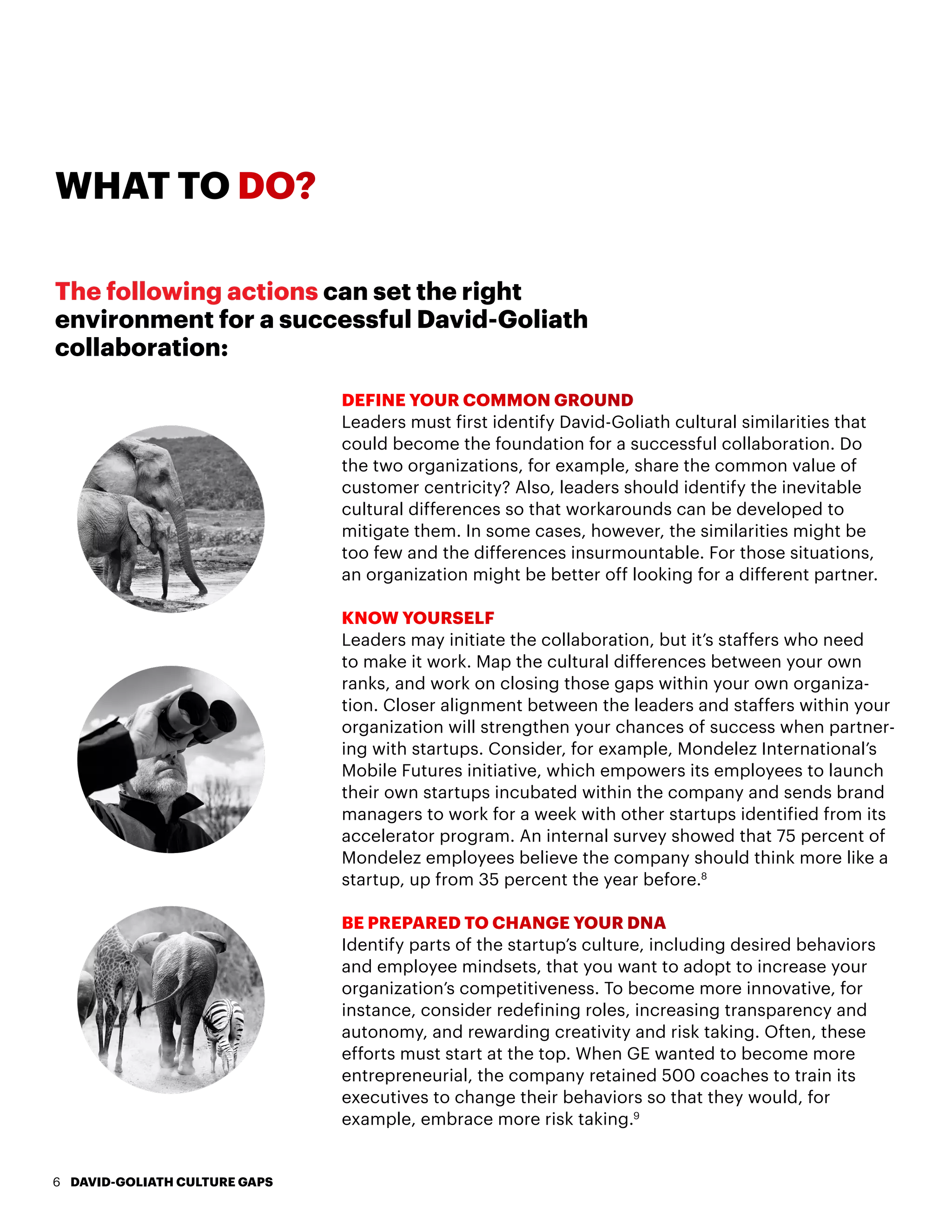 David and Goliath Culture Gaps Preventing Organizational Growth | PDF