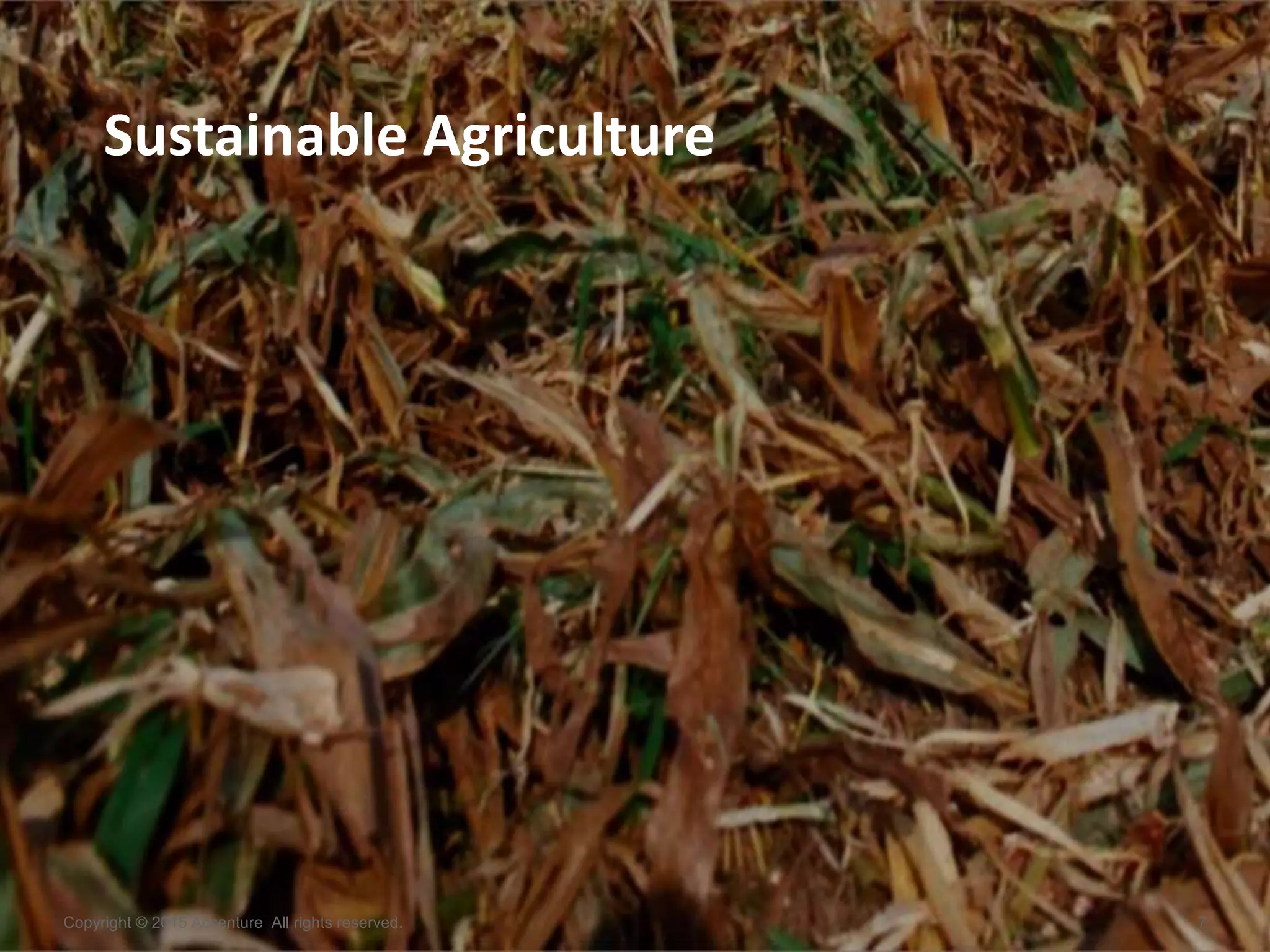 Accenture Data Science Hackathon Presentation | PPTX