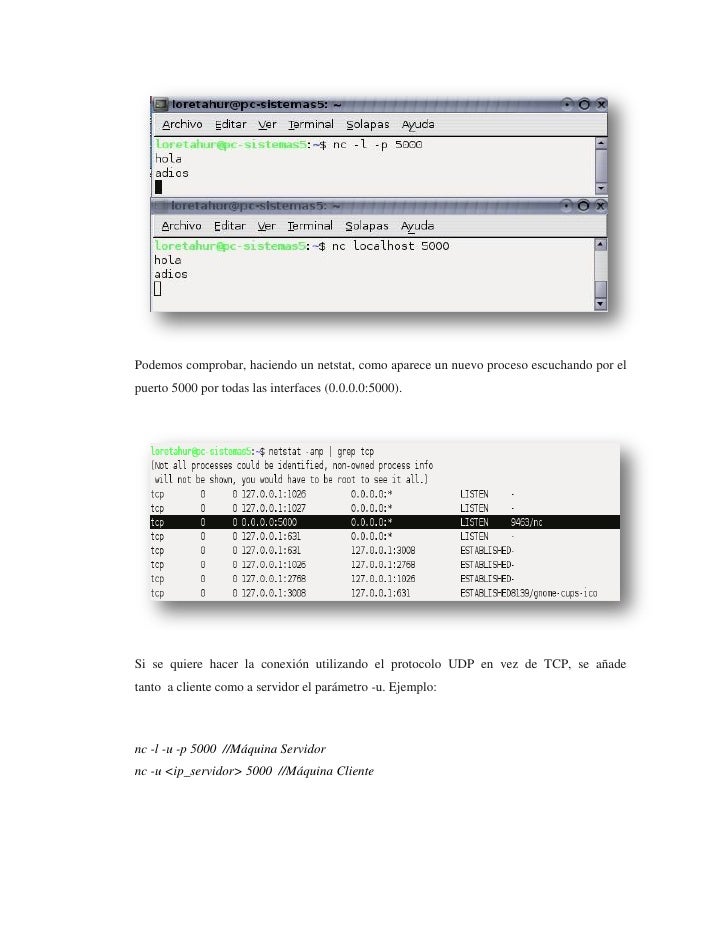 Acceso No Autorizado a Servicios Informaticos PDF
