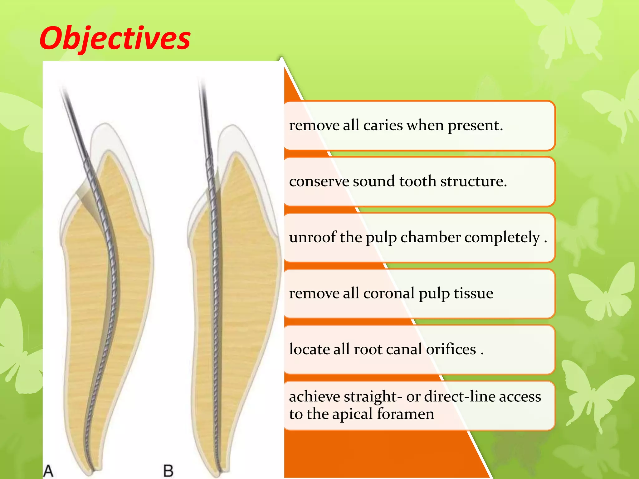 Acces opening of anterior and premolar teeth(shadan) | PPTX