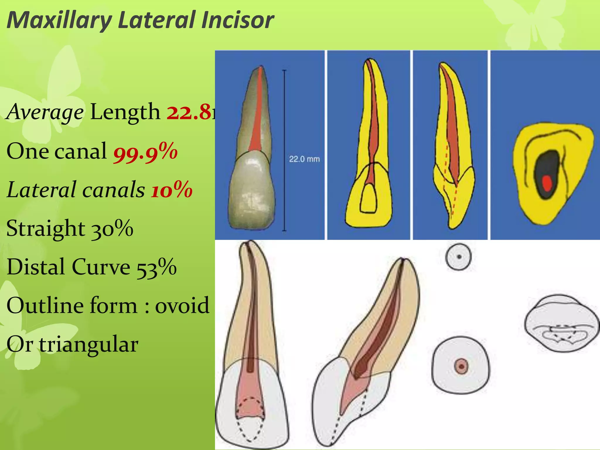 Acces opening of anterior and premolar teeth(shadan) | PPTX
