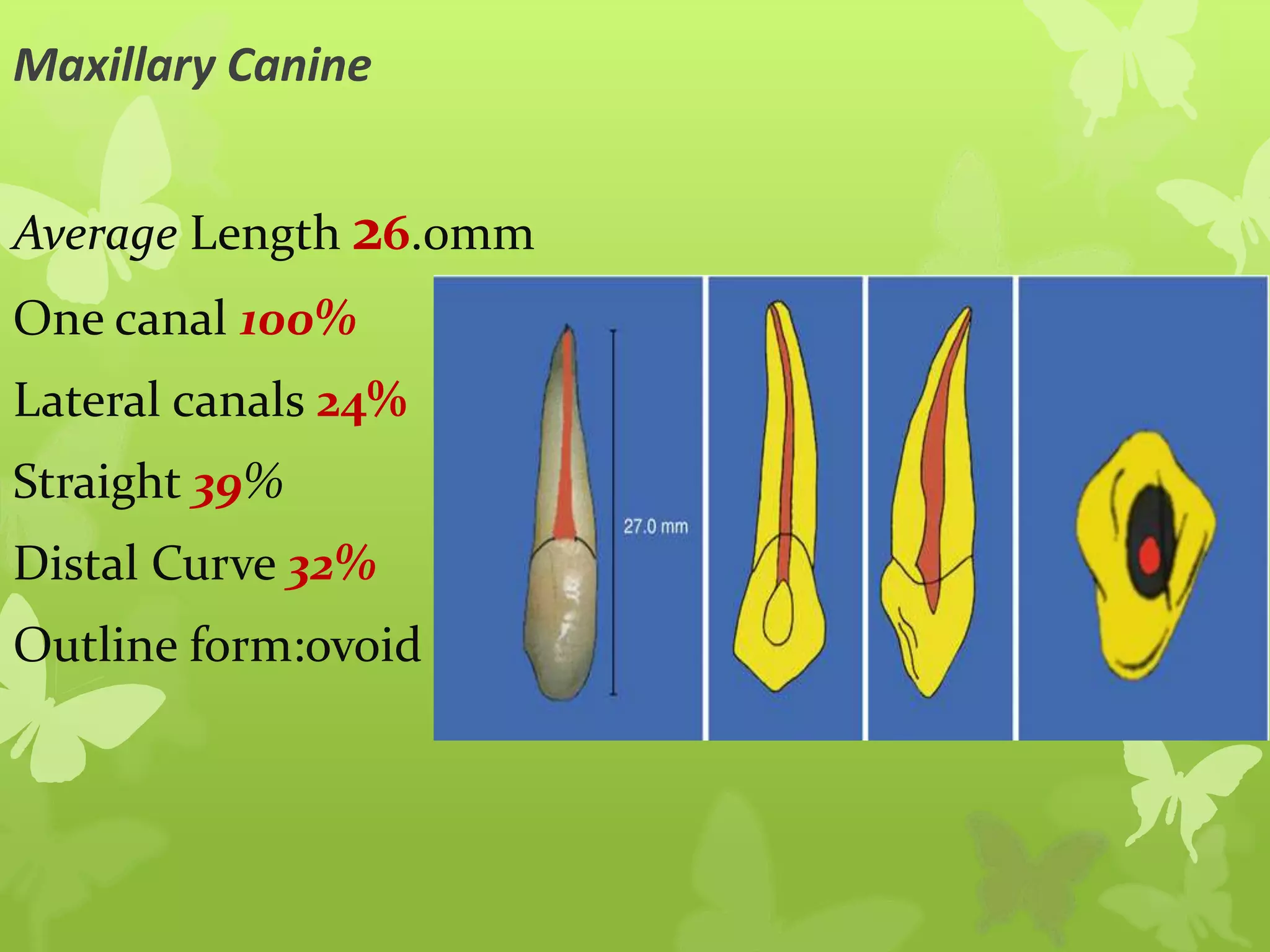 Acces opening of anterior and premolar teeth(shadan) | PPTX