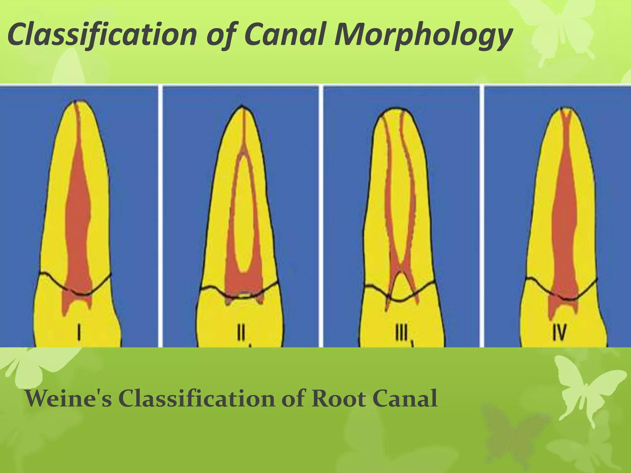 Acces opening of anterior and premolar teeth(shadan) | PPTX
