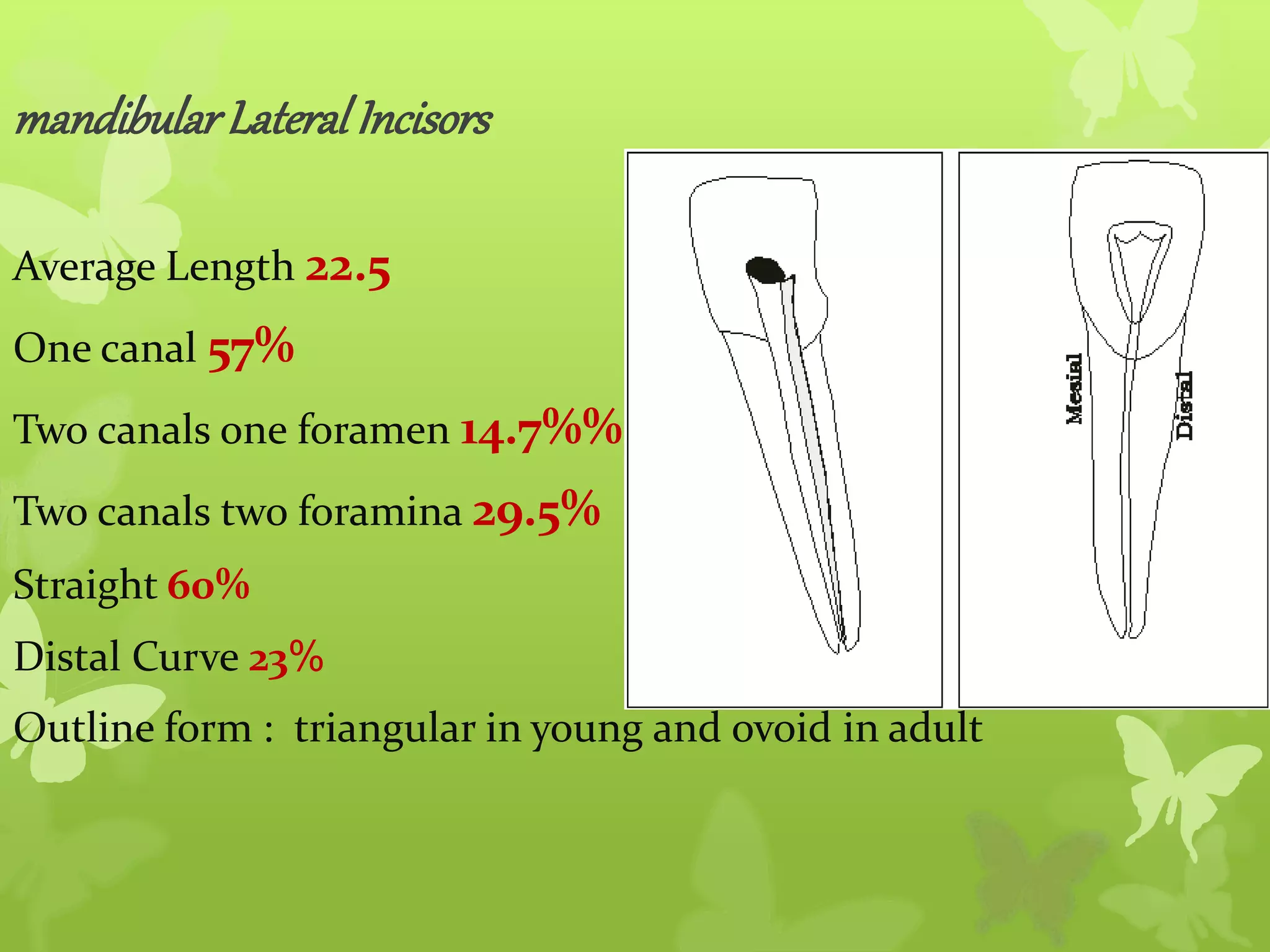 Acces opening of anterior and premolar teeth(shadan) | PPTX