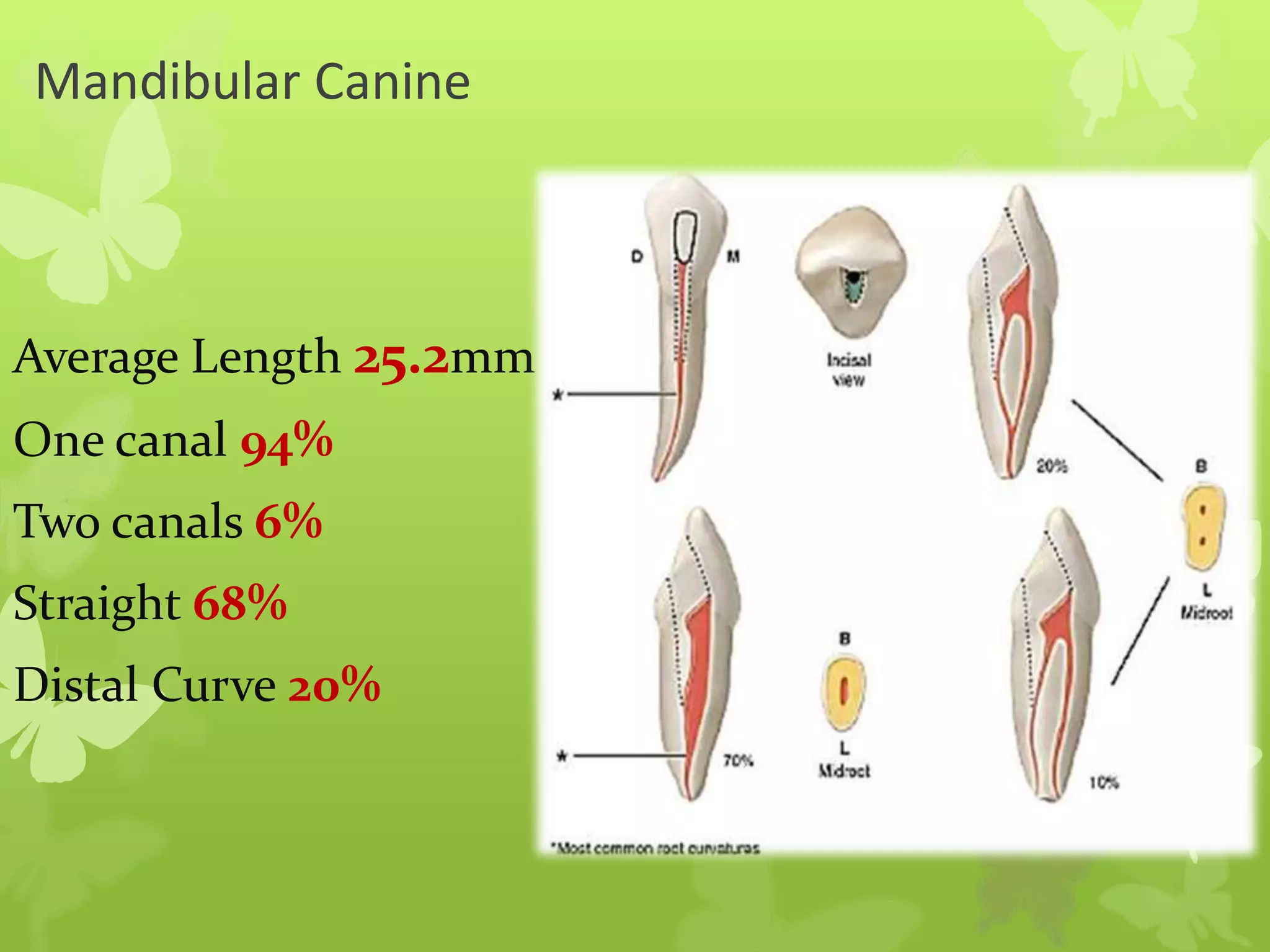Acces opening of anterior and premolar teeth(shadan) | PPTX