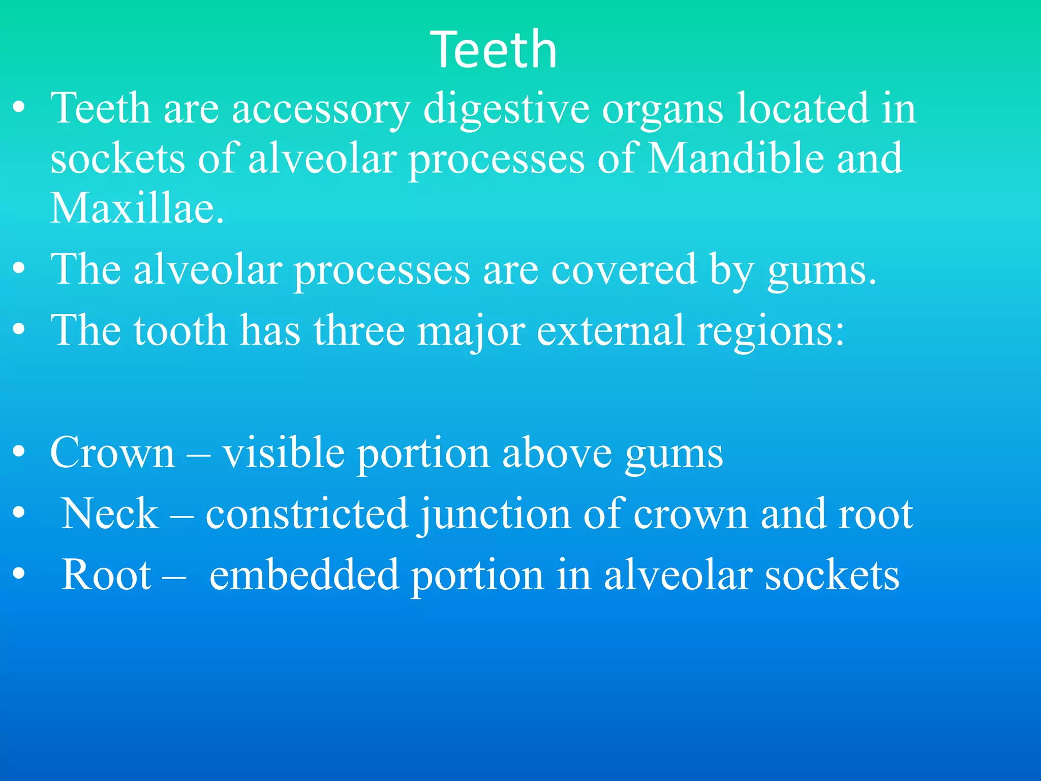 ACCESSORY ORGANS OF DIGESTIVE SYSTEM | PPTX