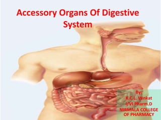 ACCESSORY ORGANS OF DIGESTIVE SYSTEM | PPTX